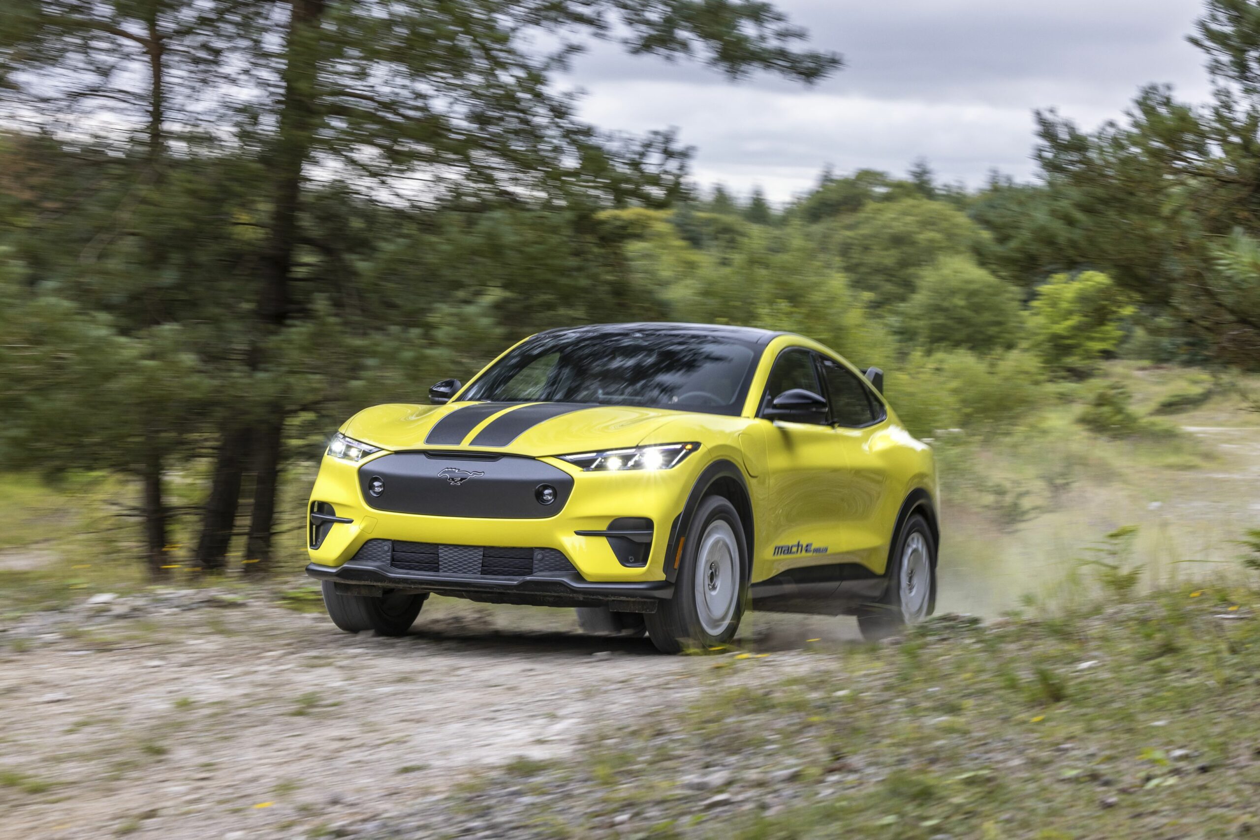 2024 Mach E Rally Canso Ford