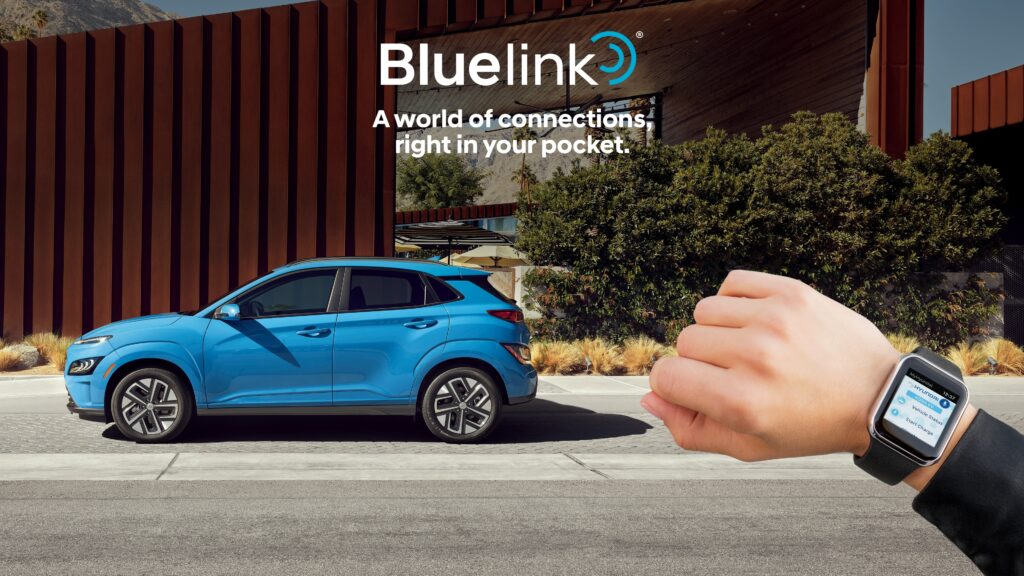 Bluelink | Neddy's North Bay Hyundai